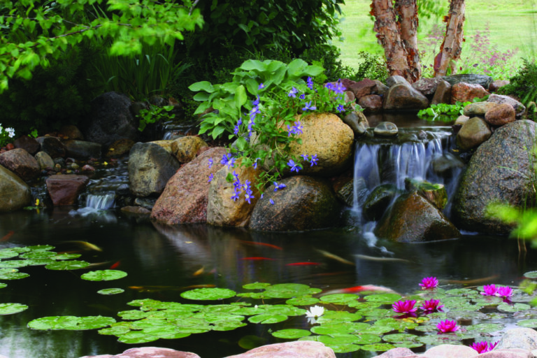 How a Custom Aquascape Water Feature can Improve Any Lancaster, PA ...